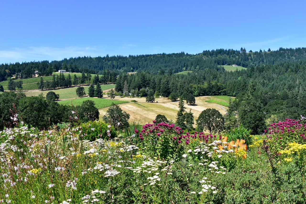 Oregon's Wine Country: Willamette Valley